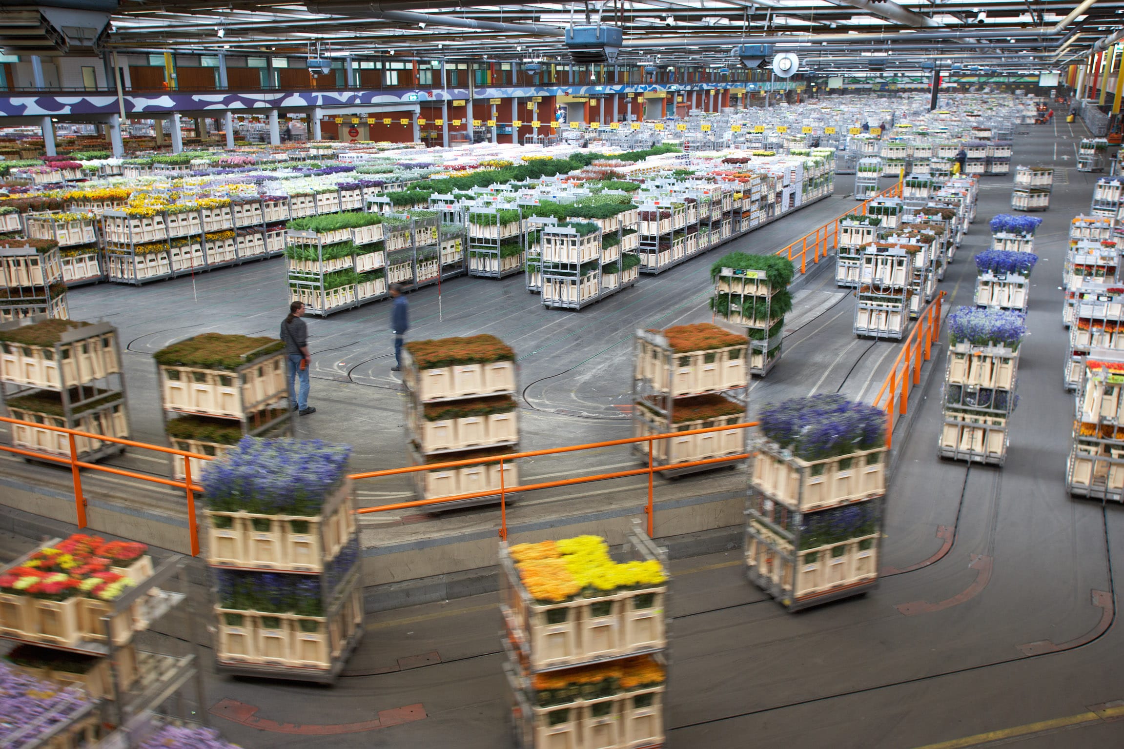 100 Banen weg bij FloraHolland - Nieuwe Meerbode