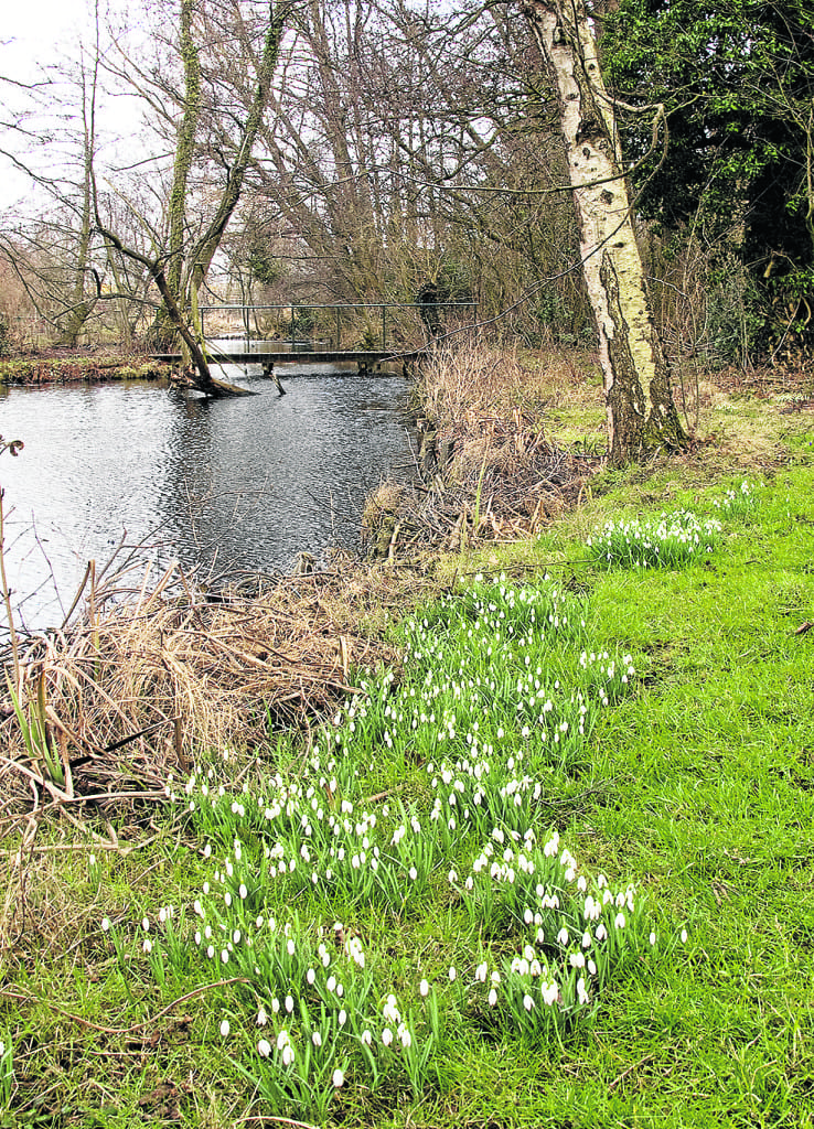 Open dag Tuin Bram de Groote - Nieuwe Meerbode