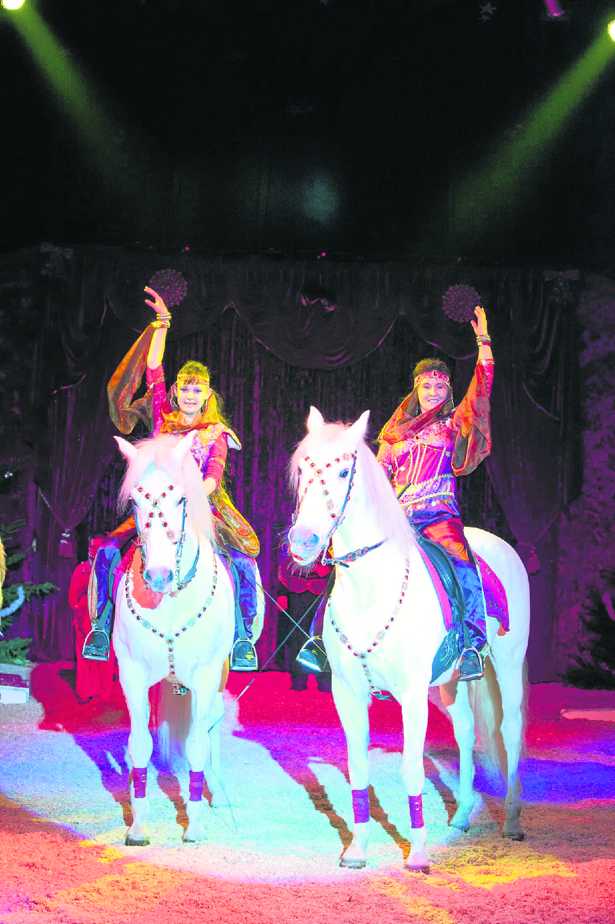 Circus Freiwald gaat niet door! - Nieuwe Meerbode