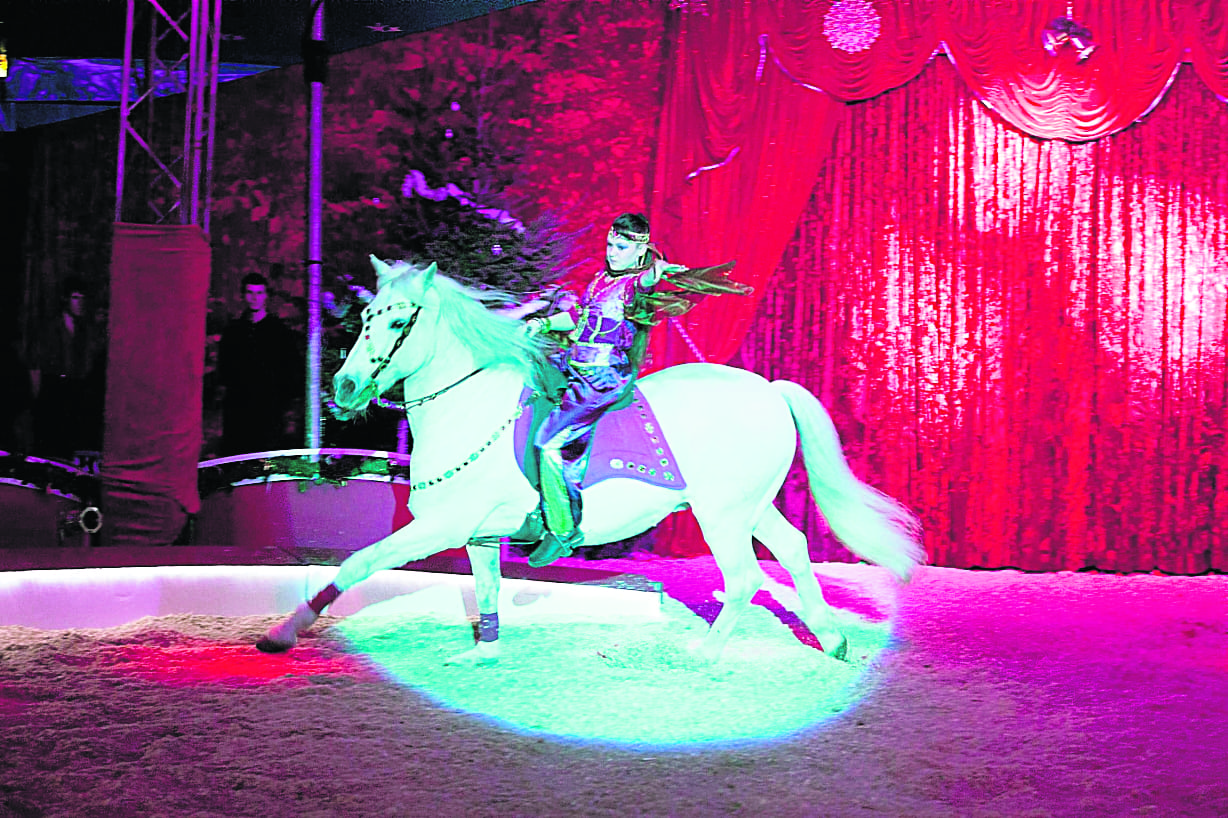 Circus Freiwald nu wel in Aalsmeer! - Nieuwe Meerbode