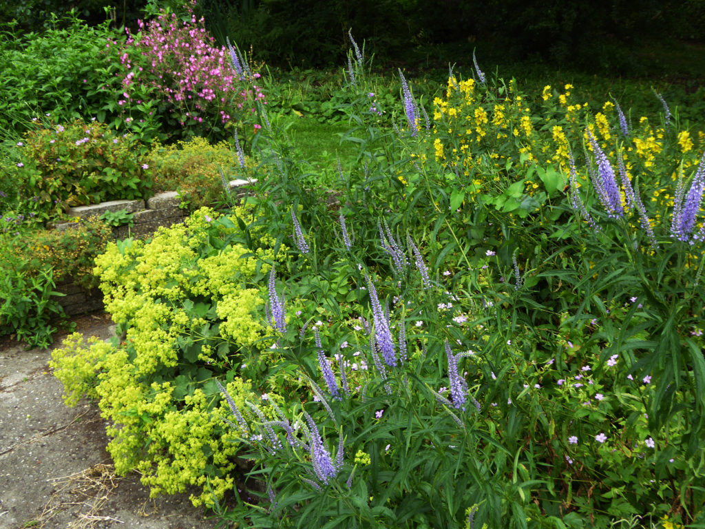 Tuin Bram de Groote zondag open - Nieuwe Meerbode
