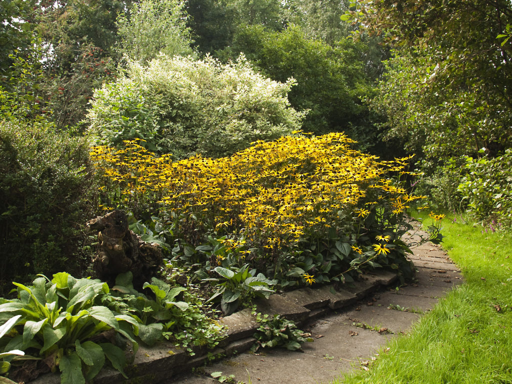 Open Dag Tuin Bram de Groote - Nieuwe Meerbode