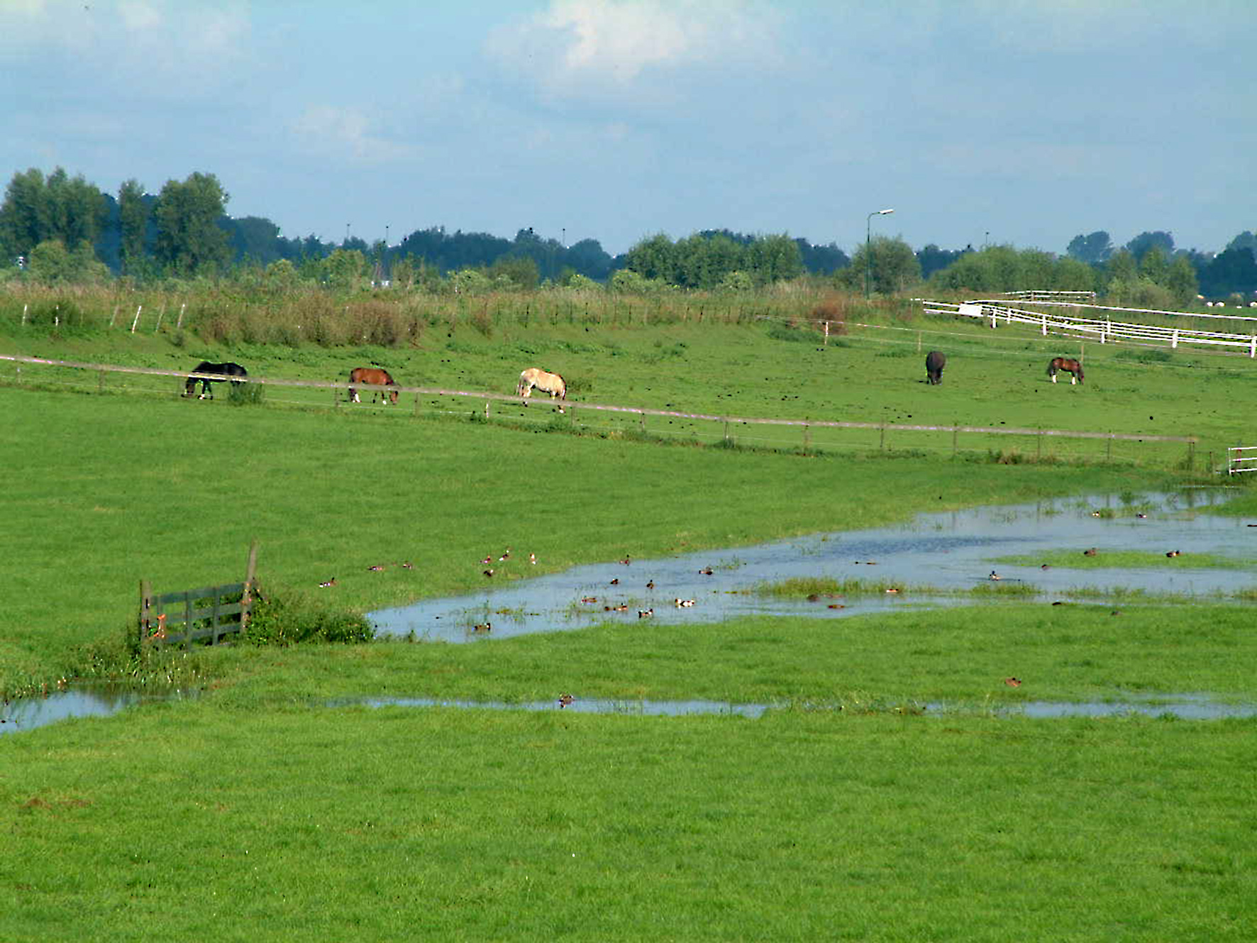 Lezing over bodemdaling in Veengebieden - Nieuwe Meerbode