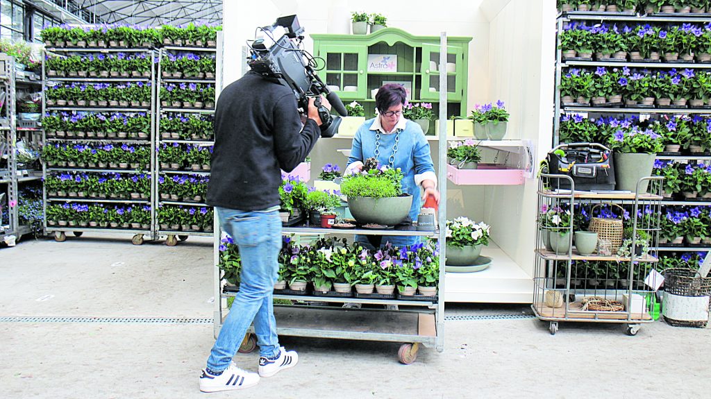 Rob Verlinden in Green Trade Center - Nieuwe Meerbode