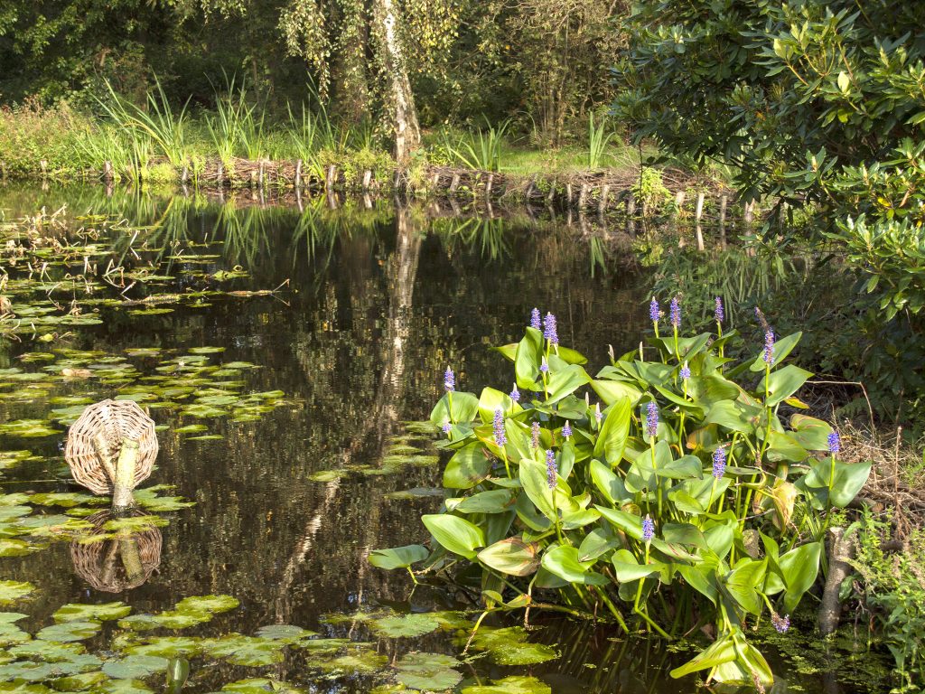Open dag Tuin Bram de Groote - Nieuwe Meerbode