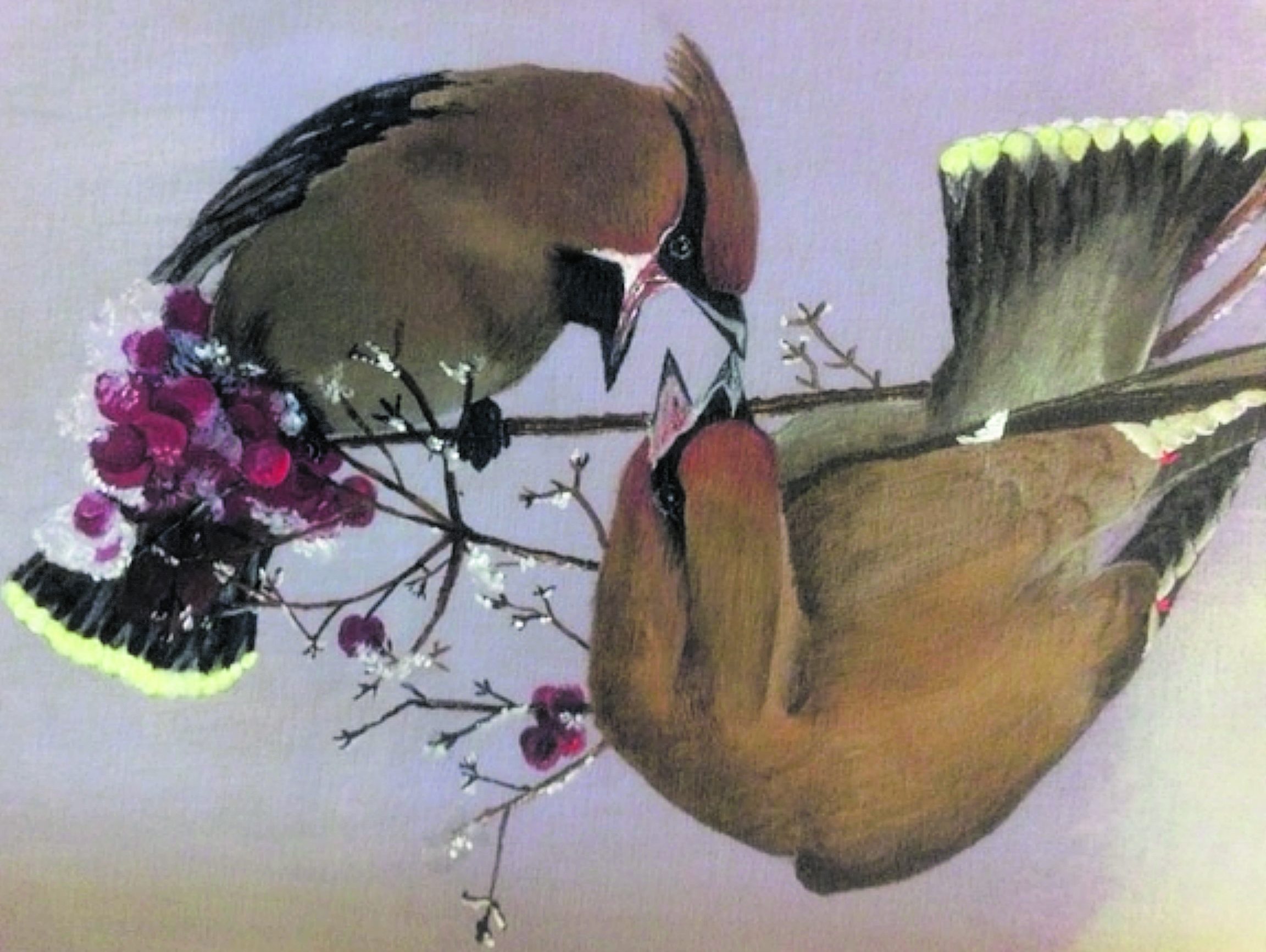 Jan Stokkel: 'Schilderen is heerlijk tijdverdrijf' - Nieuwe Meerbode