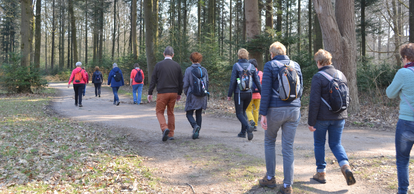 4e Wandel Challenge in het Amsterdamse Bos - Nieuwe Meerbode