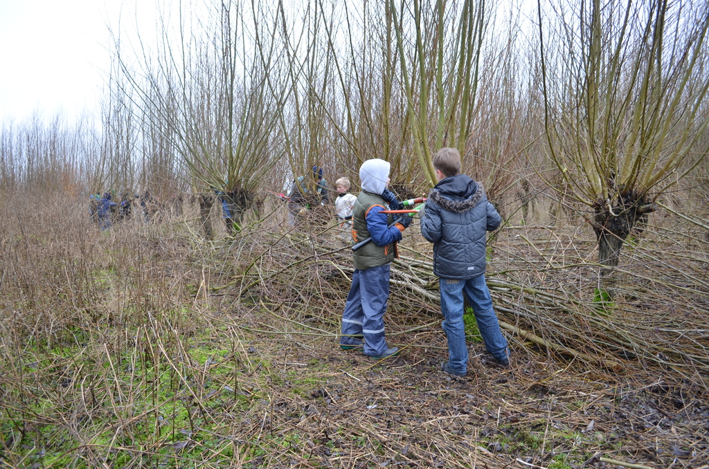 Knotten in het Enge Bos voor kinderen - Nieuwe Meerbode