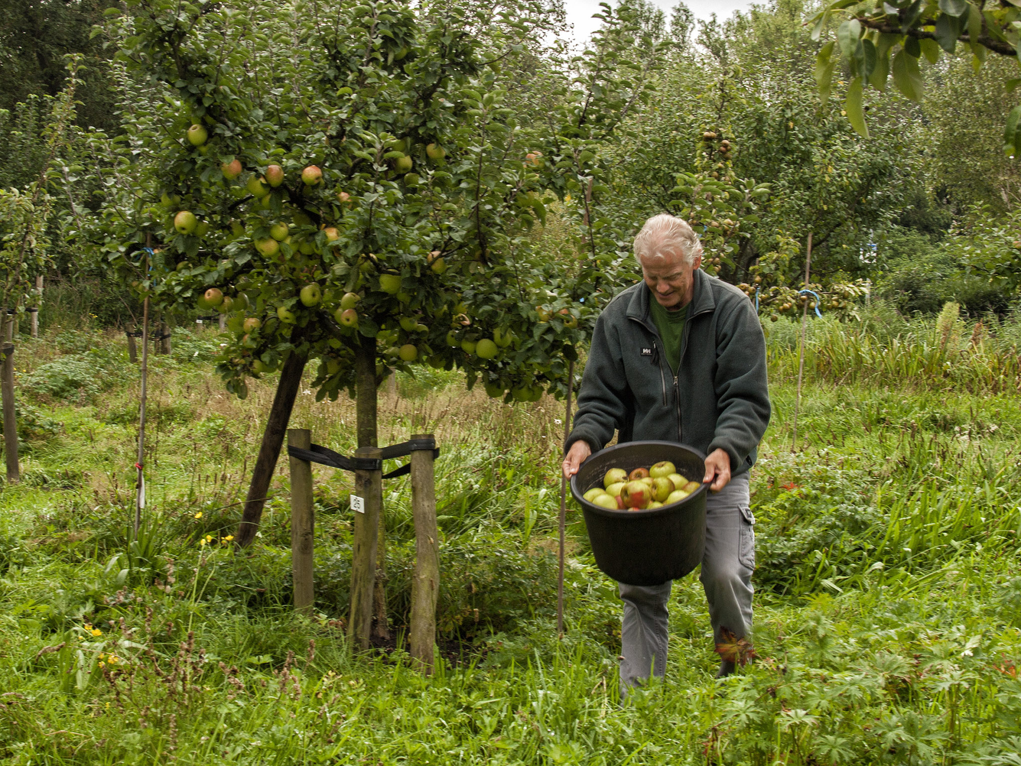 Tuin Bram de Groote zoekt vrijwilligers - Nieuwe Meerbode