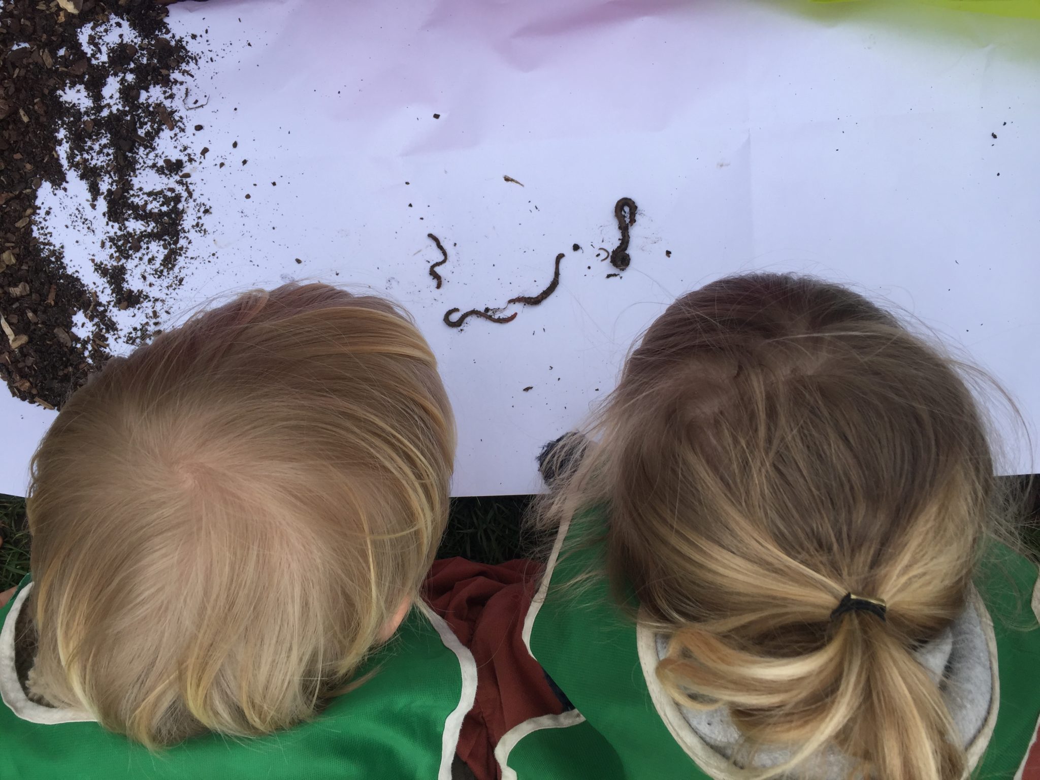 Natuur ontdekken in het Amsterdamse Bos - Nieuwe Meerbode