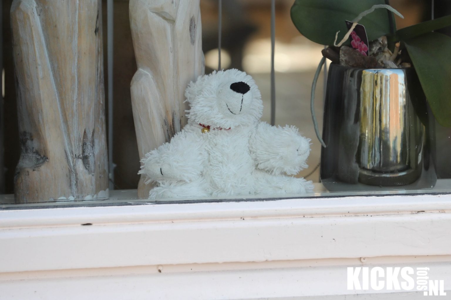 Op berenjacht in Aalsmeer en Kudelstaart - Nieuwe Meerbode