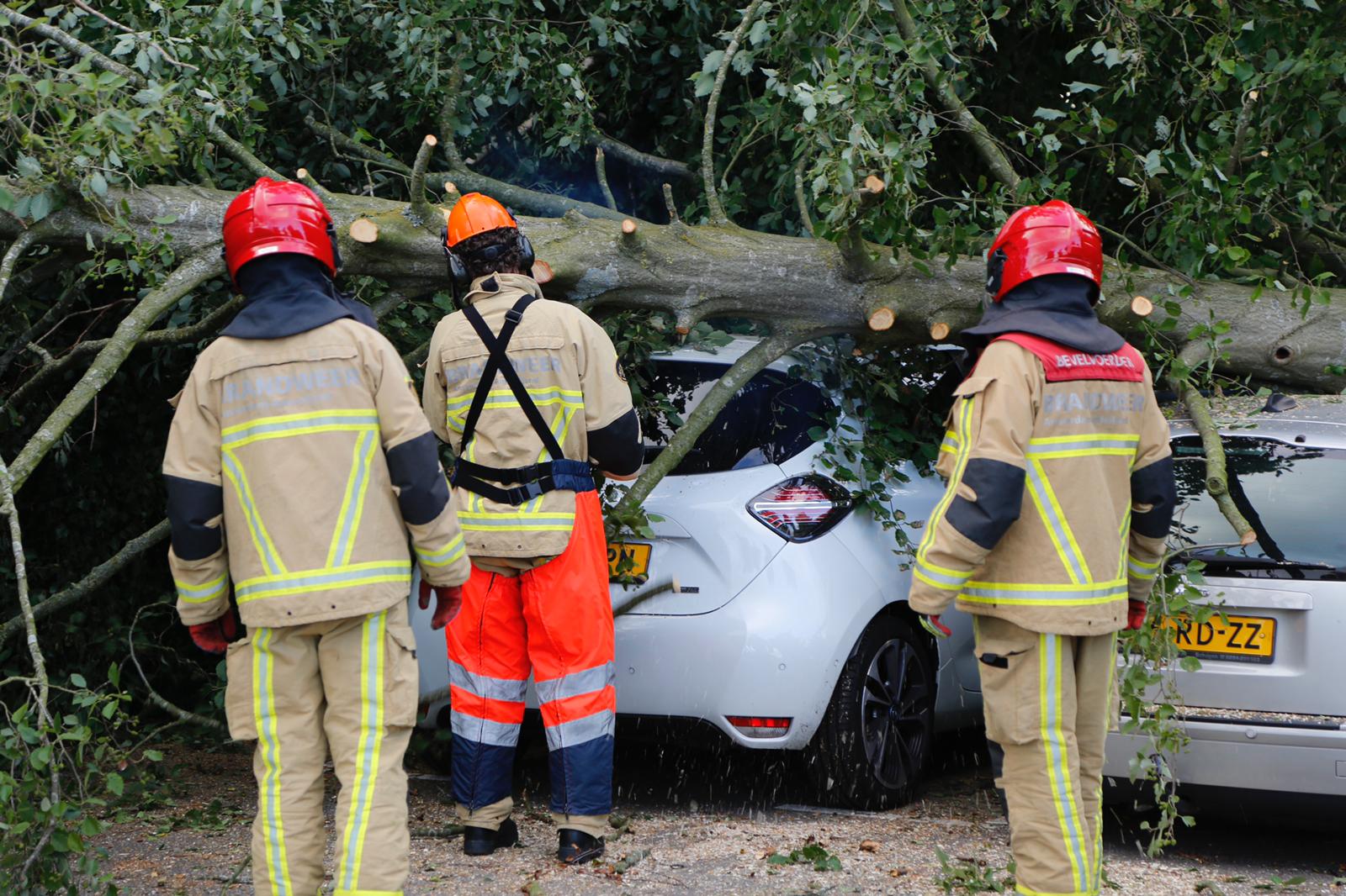 Windvlaag was teveel voor boom - Nieuwe Meerbode