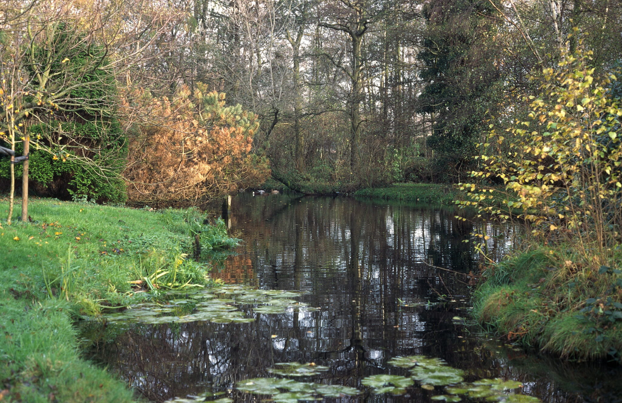 Open middag Tuin Bram de Groote - Nieuwe Meerbode
