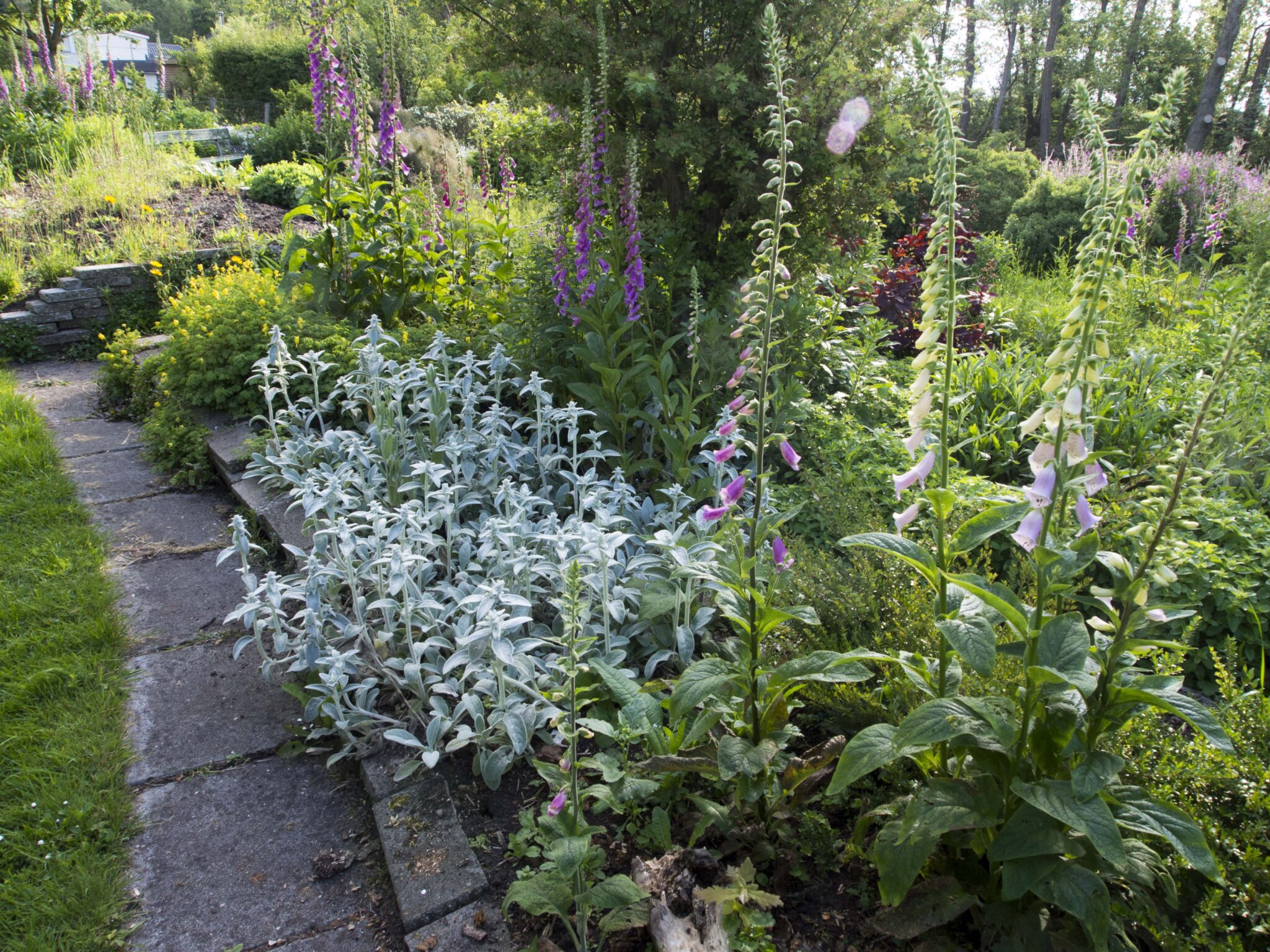 Open dag in Tuin Bram de Groote - Nieuwe Meerbode