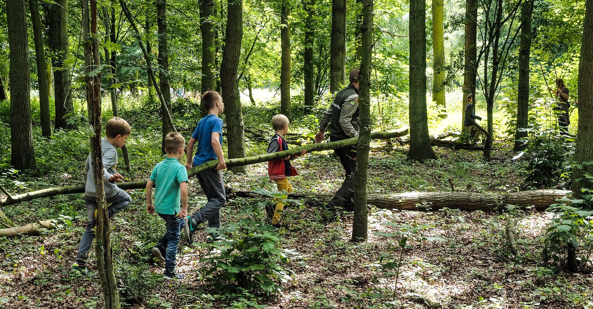 Activiteit voor kinderen: Hoe overleef je het bos? - Nieuwe Meerbode