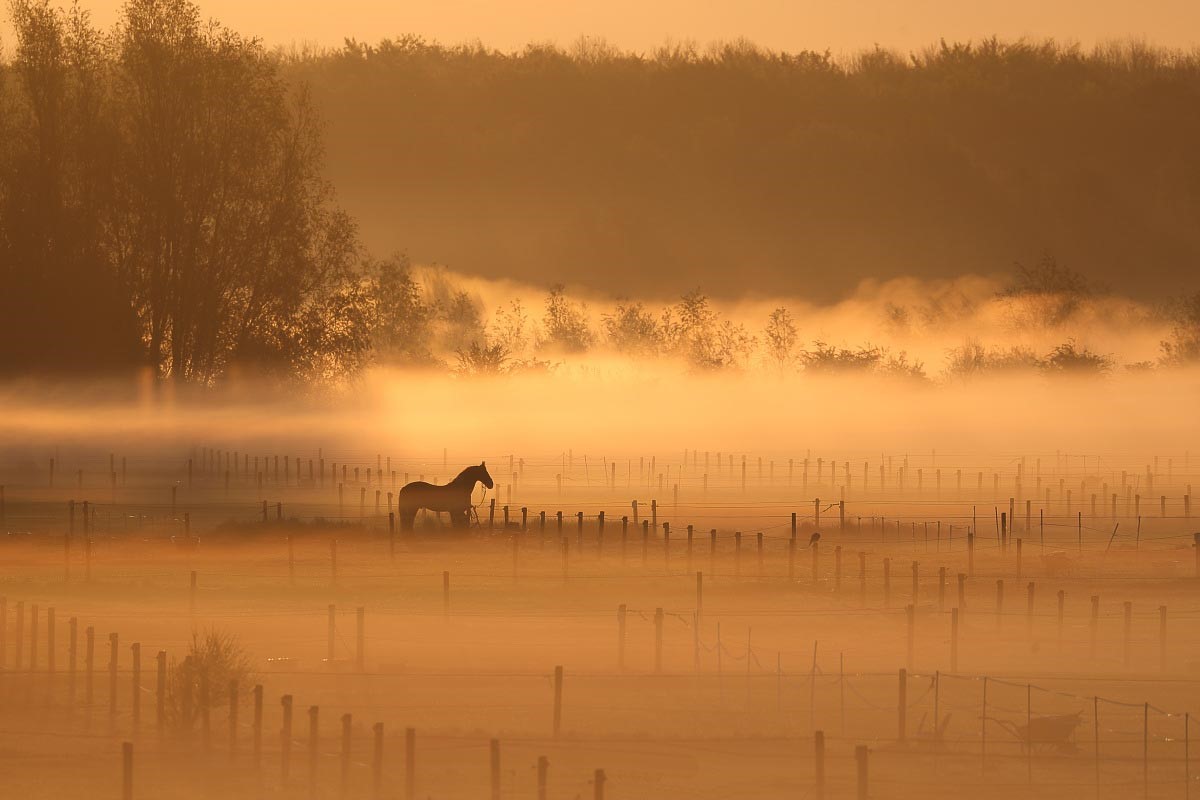 Inspiratiemiddag natuurfotografie op de Tuin - Nieuwe Meerbode
