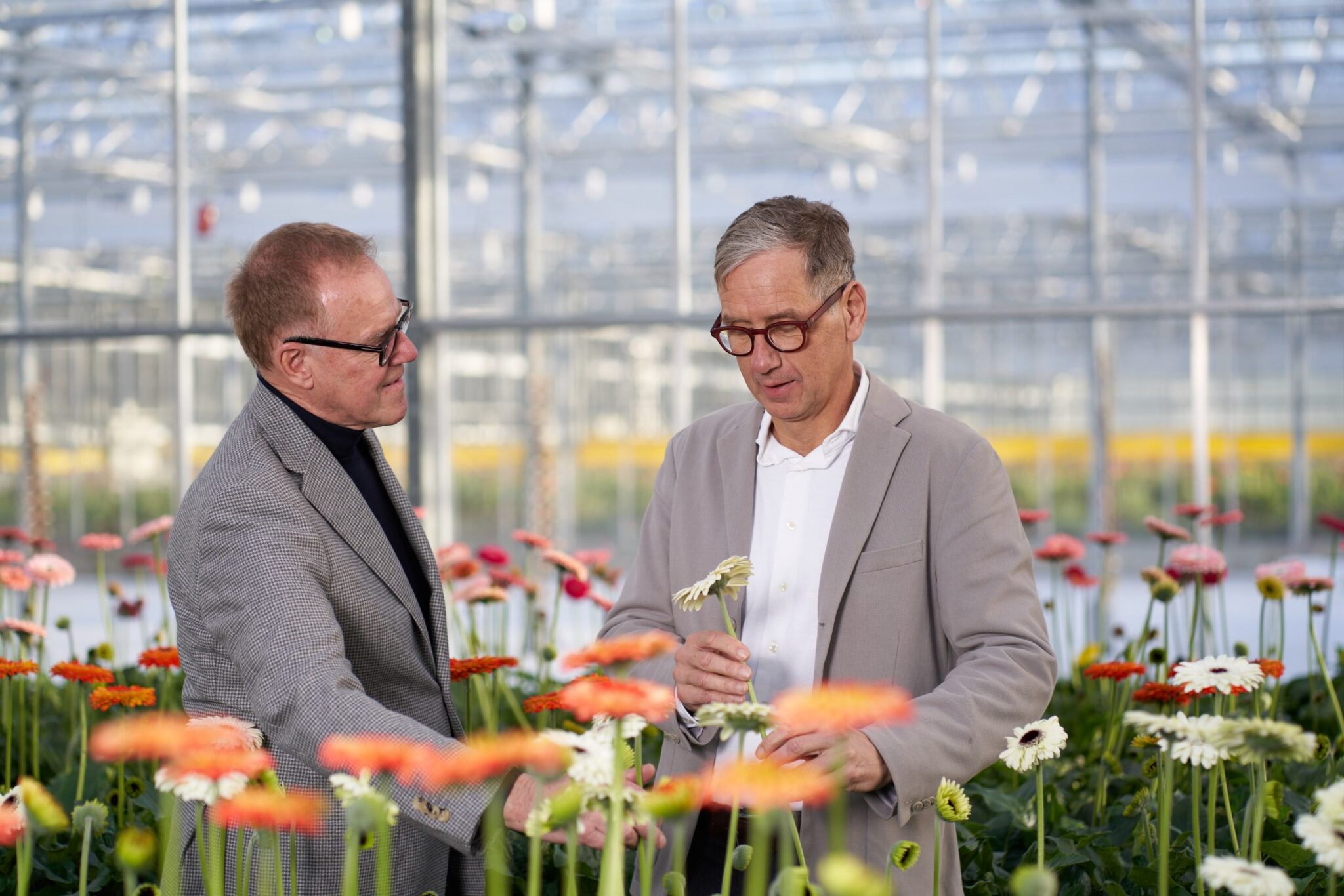 Eén dag directeur: Greenport zoekt topstudenten - Nieuwe Meerbode