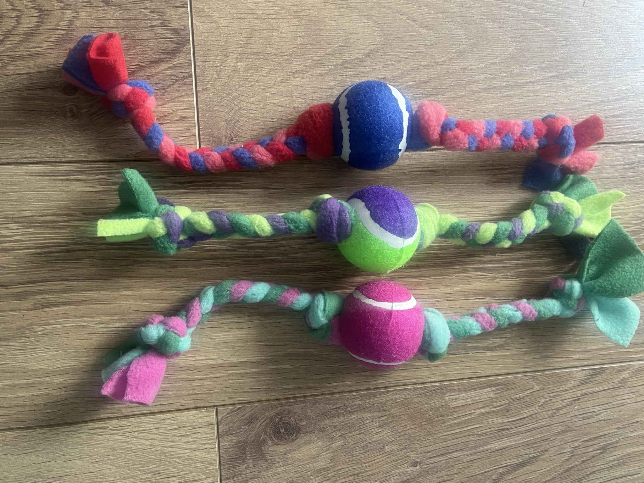 'Help ons een hondje' voor hulphond voor Siem - Nieuwe Meerbode