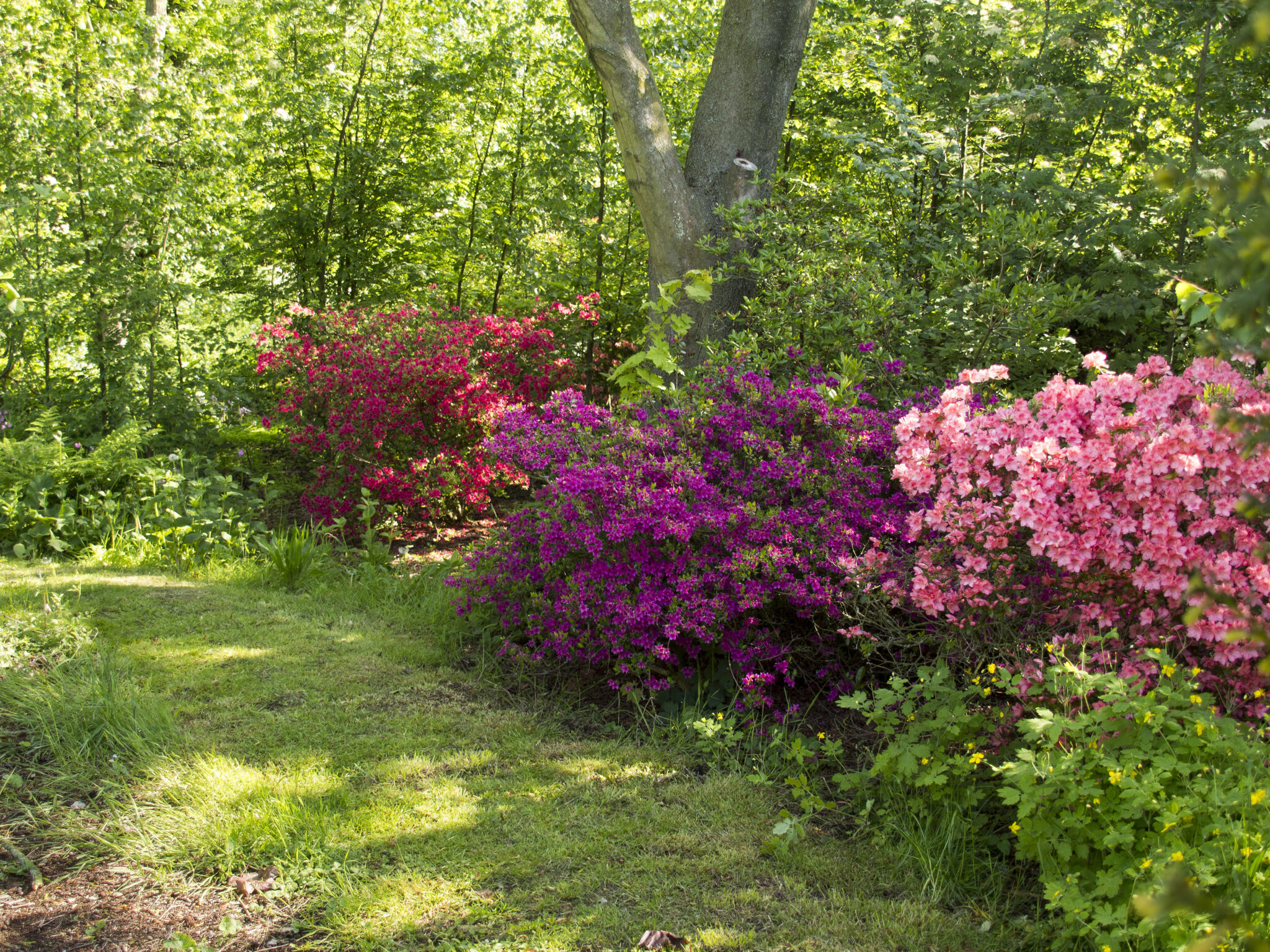 Open middag natuurtuin Bram de Groote - Nieuwe Meerbode