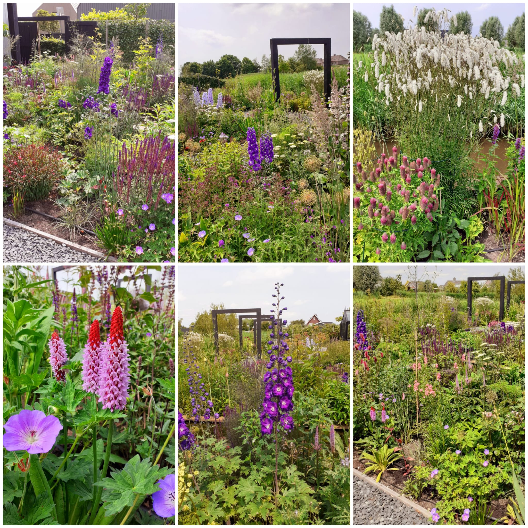 Open tuinen weekend in Aalsmeer en De Kwakel - Nieuwe Meerbode