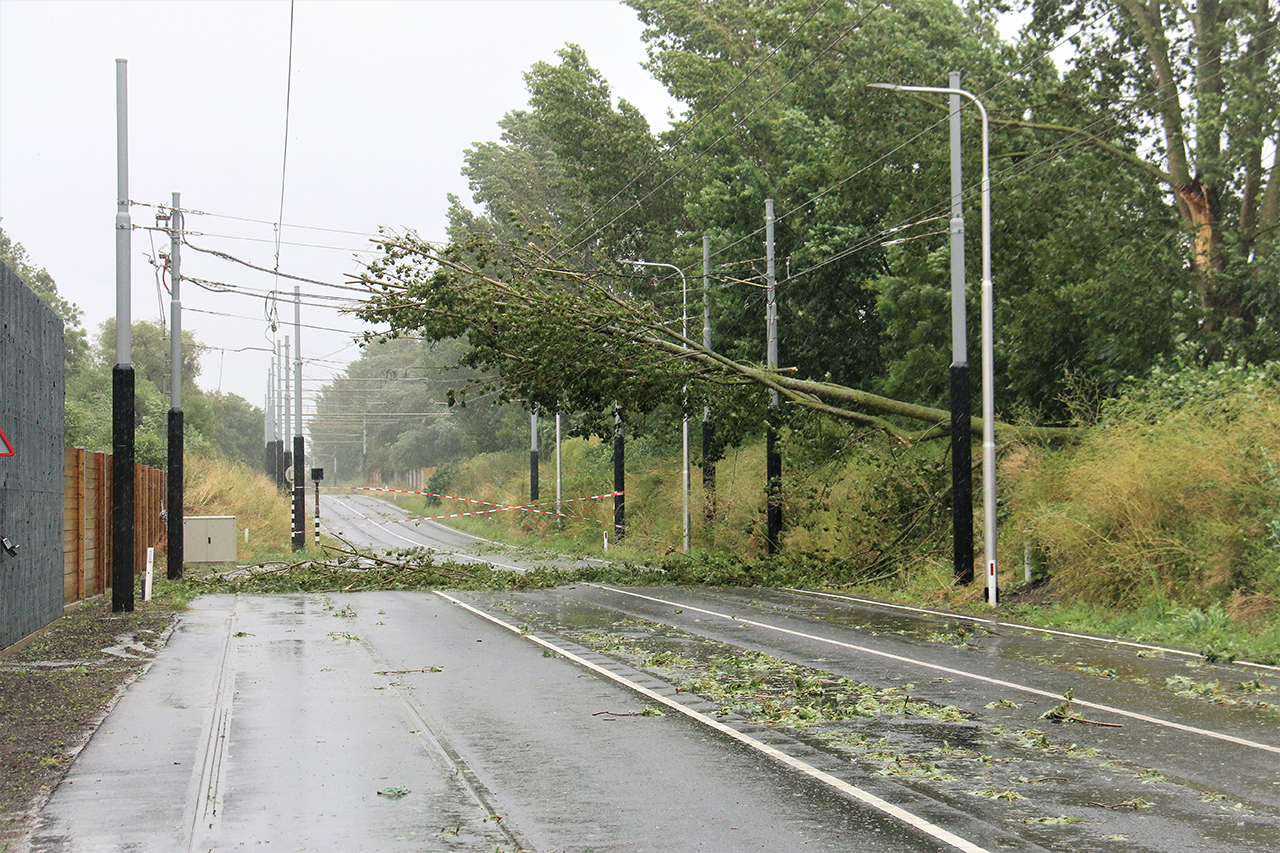 Zware storm raast over Noord Holland - Nieuwe Meerbode