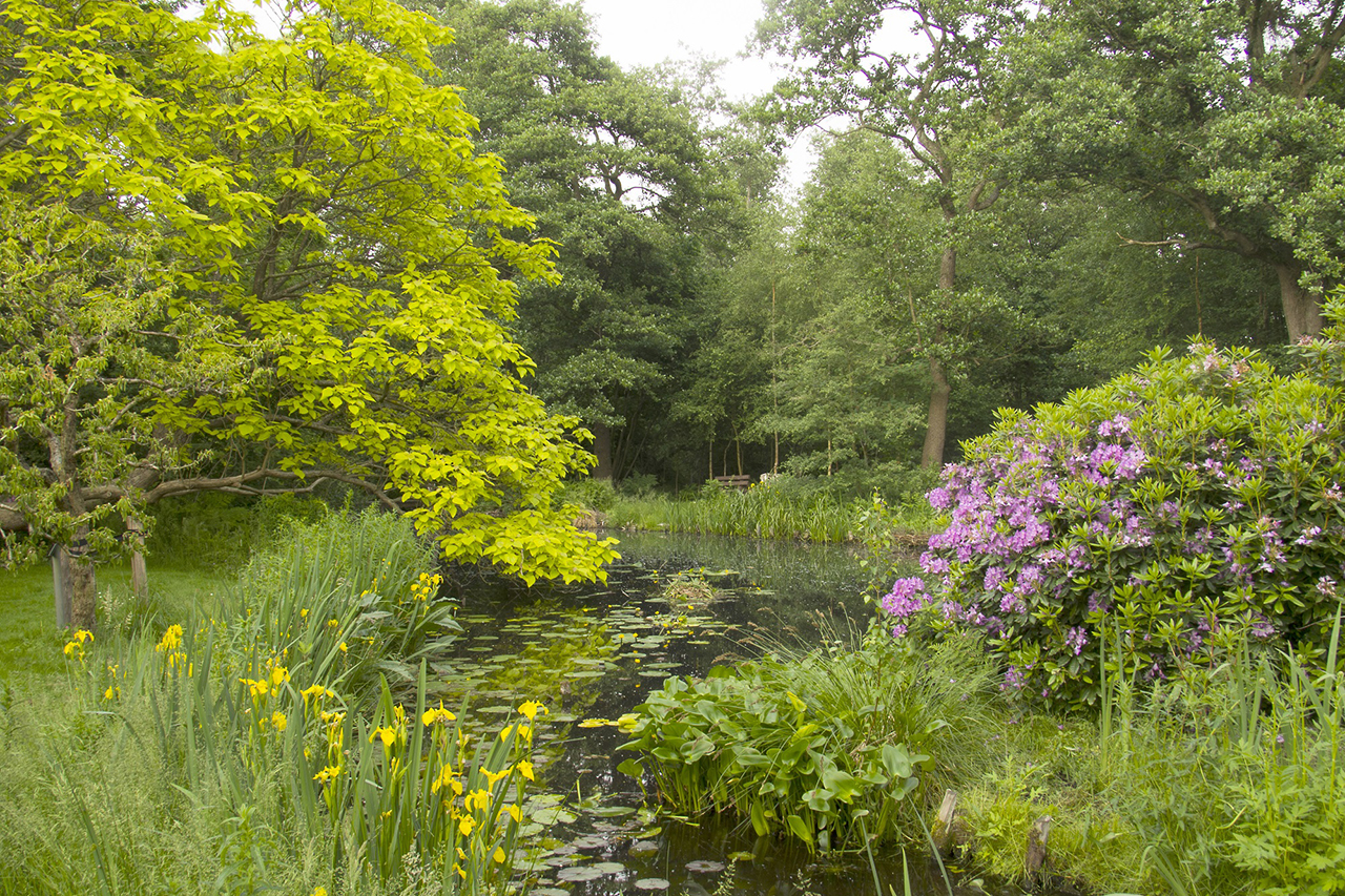 Coördinator gezocht voor Tuin Bram de Groote - Nieuwe Meerbode