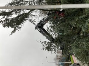 Bomen gekapt voor aanleg fietspad Bilderdammerweg - Nieuwe Meerbode