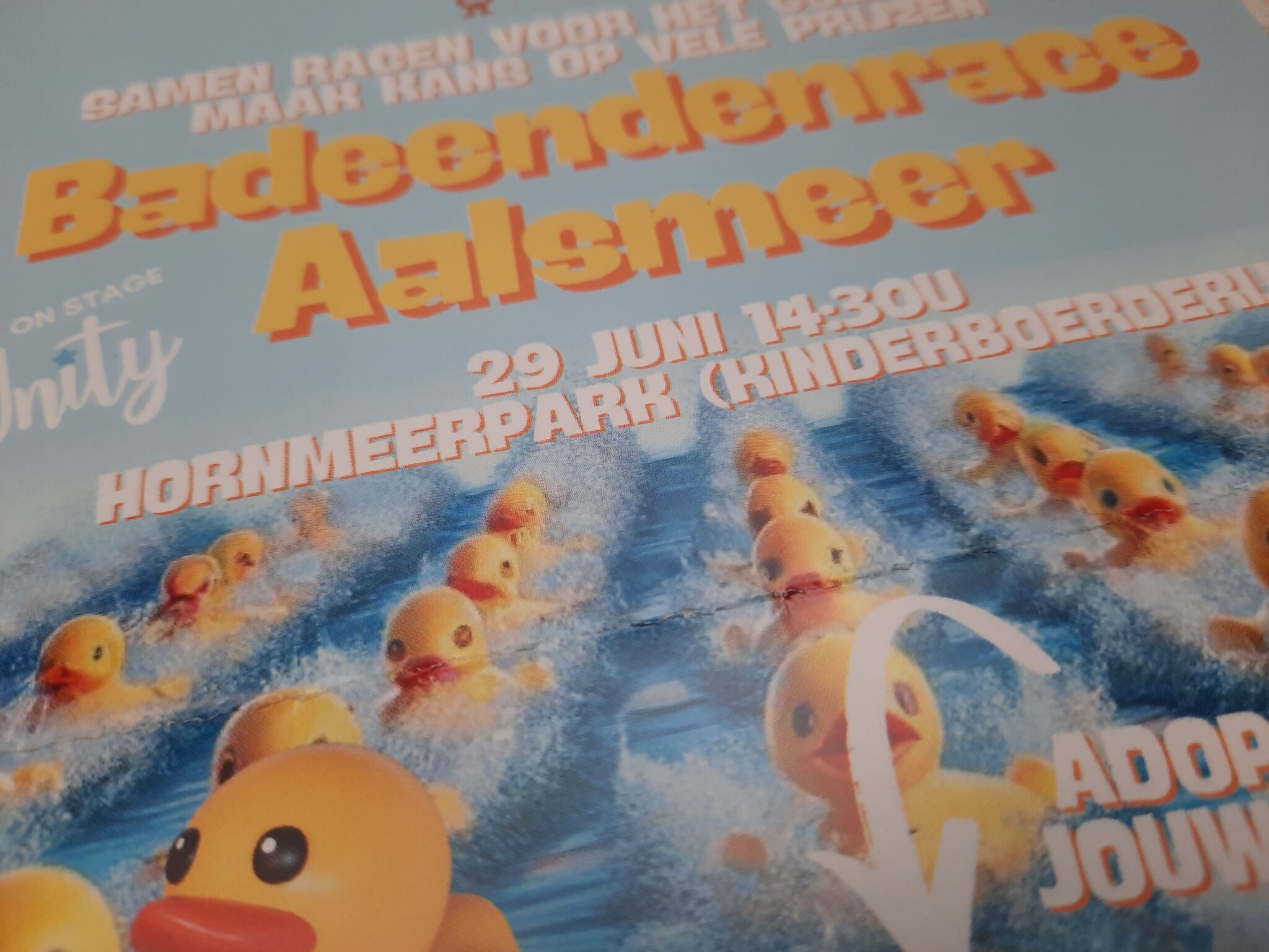 Badeendenrace in Aalsmeer voor de kinderboerderij - Nieuwe Meerbode