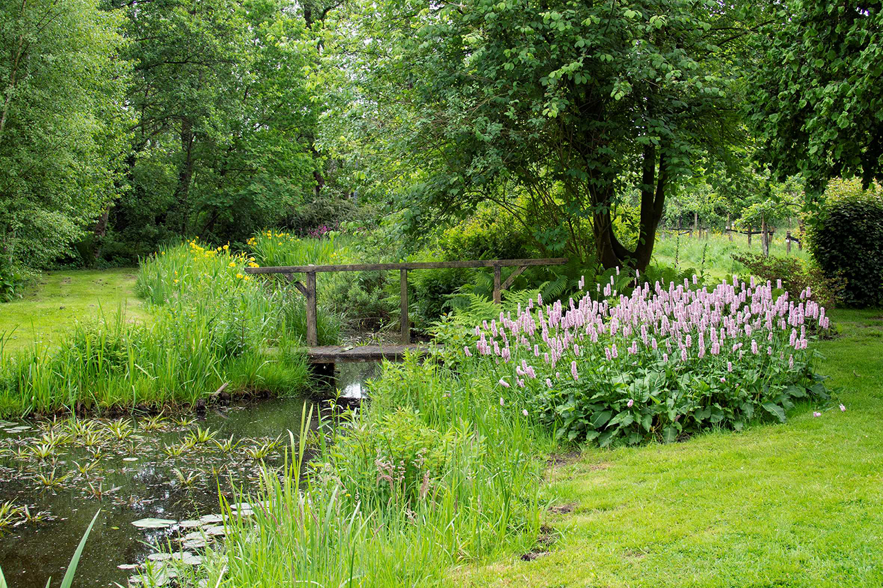 Open middag in Natuurtuin Bram de Groote - Nieuwe Meerbode