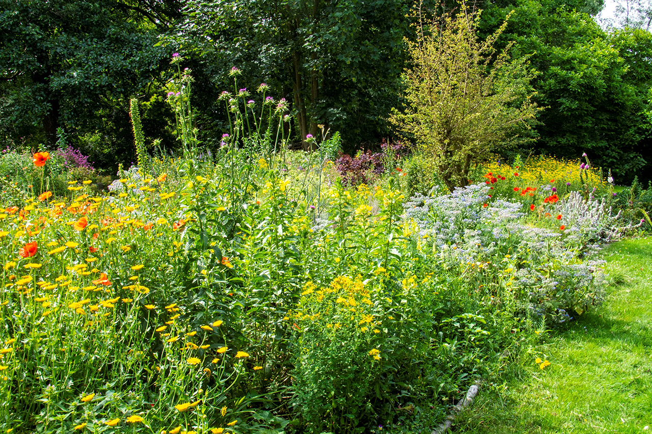 Open middag in Natuurtuin Bram de Groote in Uithoorn - Nieuwe Meerbode