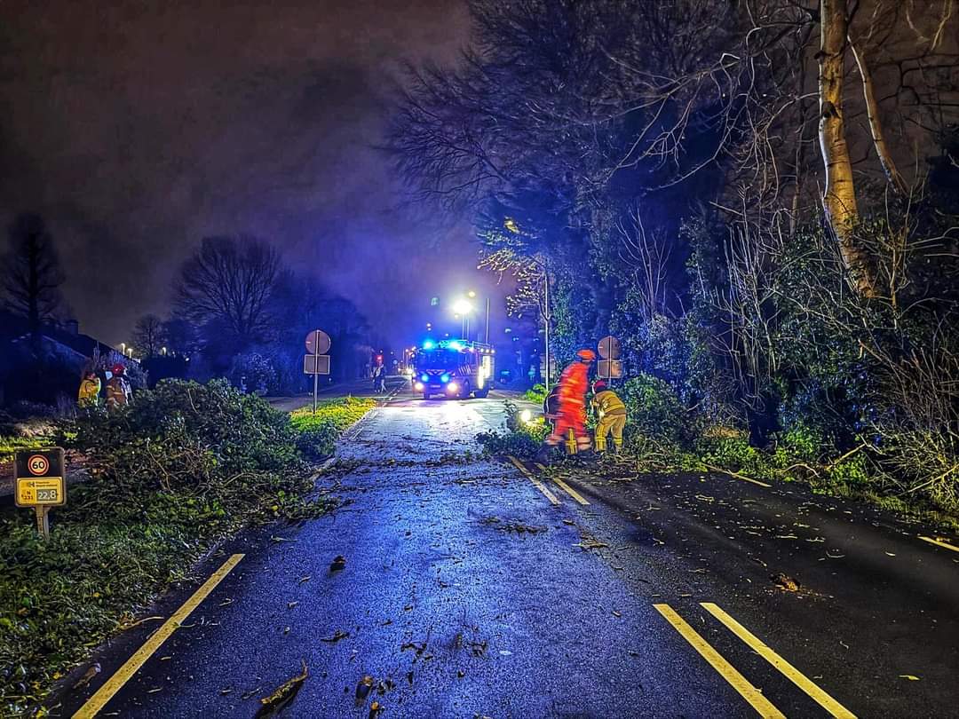 Boom om op Legmeerdijk door storm Conall - Nieuwe Meerbode