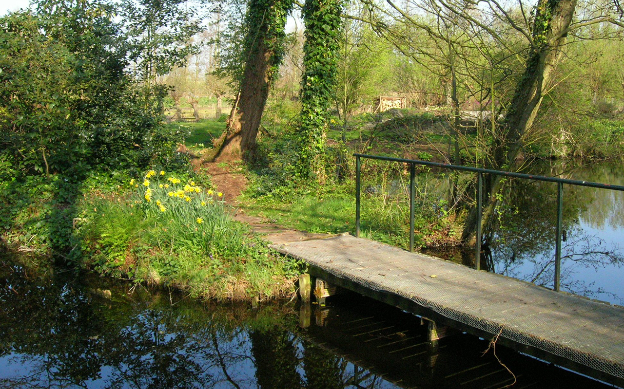 Lente in Tuin Bram de Groote - Nieuwe Meerbode