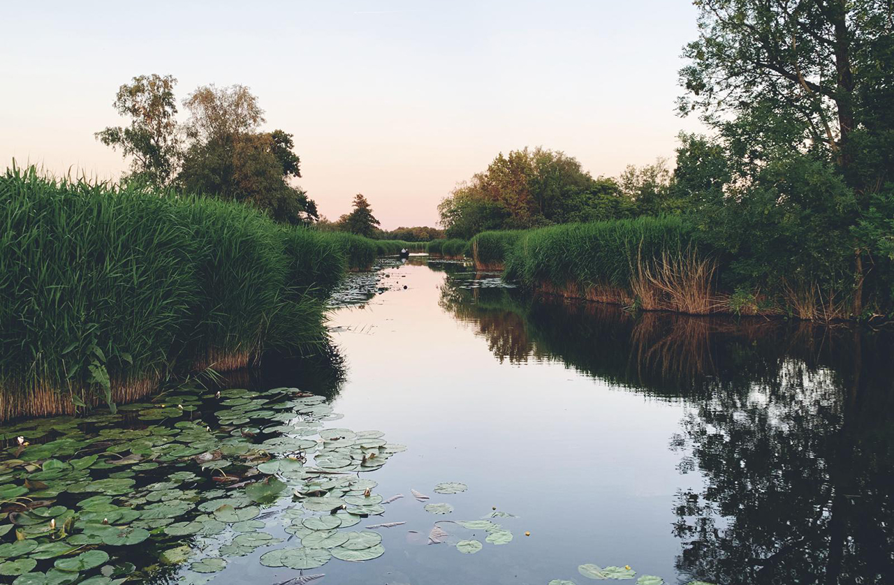 Botshol: een symfonie van stilte en natuur - Nieuwe Meerbode