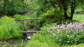 Open dag Tuin Bram de Groote - Nieuwe Meerbode